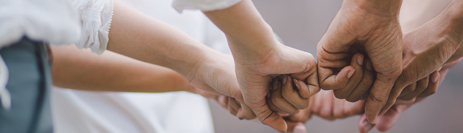 Chi siamo ⋆ Regolateam